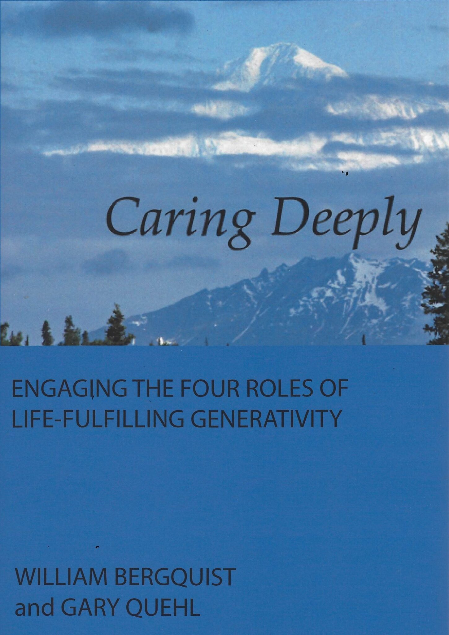 The Professional Psychology Press | The Professional School of Psychology